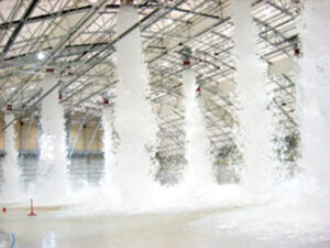 State Fire — Fire & Security Protection Services